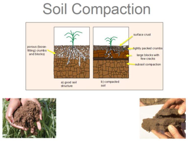 Operator Tips to Reduce Soil Compaction: MANUFACTURER’S ANSWER | AGTireTalk